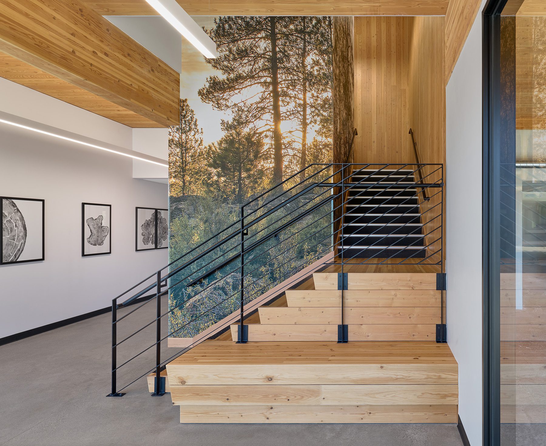 TVA Architects — Shevlin Crossing